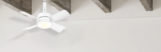 Wünder Cool Official Store – WunderCool